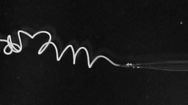 Strongest synthetic spider silk spun-out in the lab | Research ...