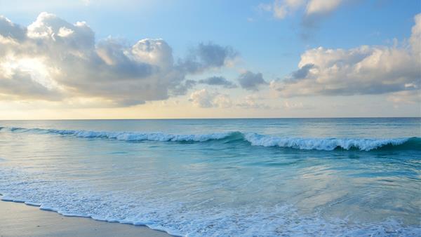 Water-splitting device solves puzzle of producing hydrogen direct from ...