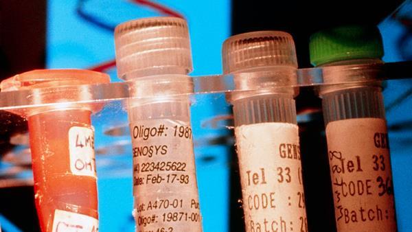 Biocatalytic process shows promise for large-scale medicinal ...