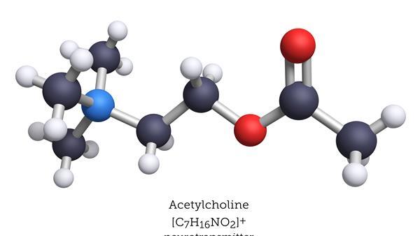 Acetylcholine | Podcast | Chemistry World