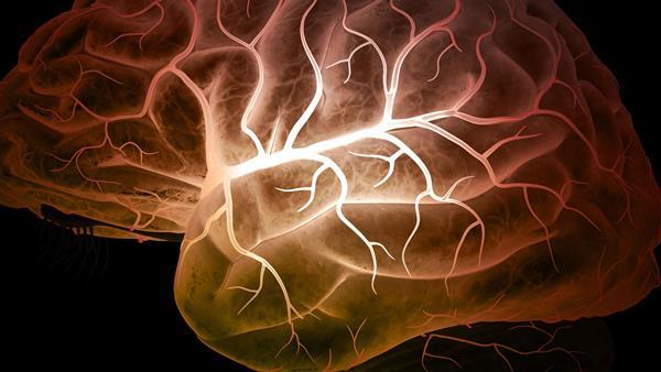 Intracellular delivery | Feature | Chemistry World