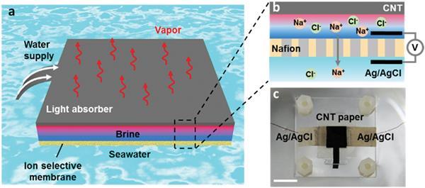 Fresh water and electricity out of the blue | Research | Chemistry World