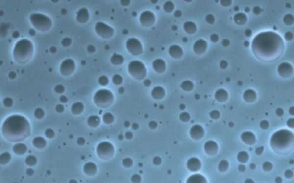 How protocells bridge the gap from chemistry to biology | Feature ...