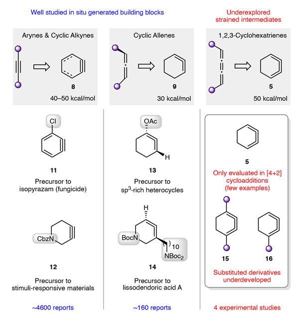 Benzene’s forgotten isomer takes centre stage in organic synthesis | Research | Chemistry World