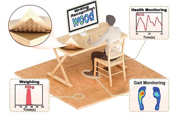 Intelligent ionotronic wood device can keep an eye on people’s health ...