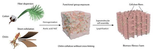Cellulose and chitin foam can remove nearly all microplastics from ...