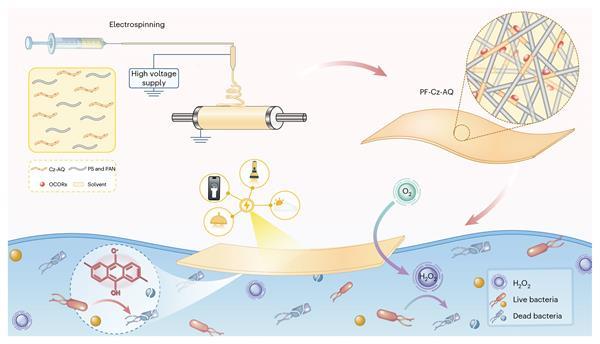 Floating films powered by light can purify water killing bacteria in ...