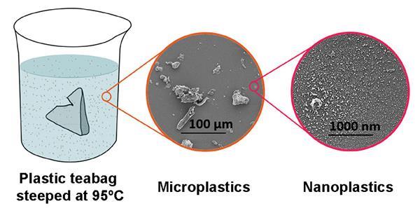 The nanoplastics puzzle | Chemistry World
