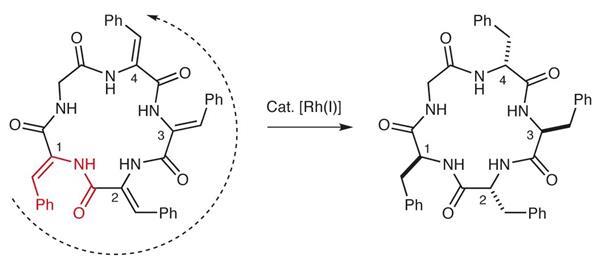 Round-the-ring catalysis makes cyclic peptides chiral | Research ...