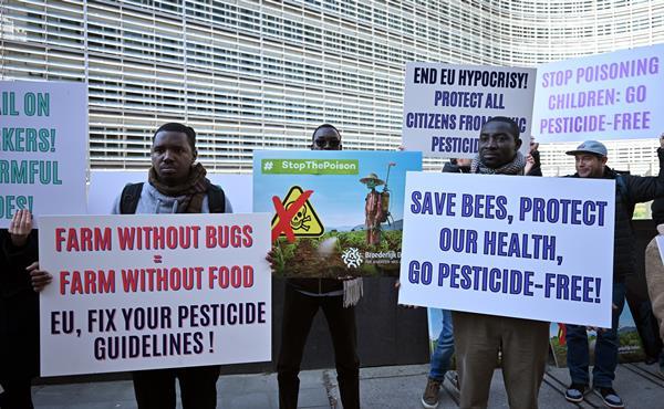 EU banned pesticide exports rise 50% to 122,000 tonnes in 2024 despite ...