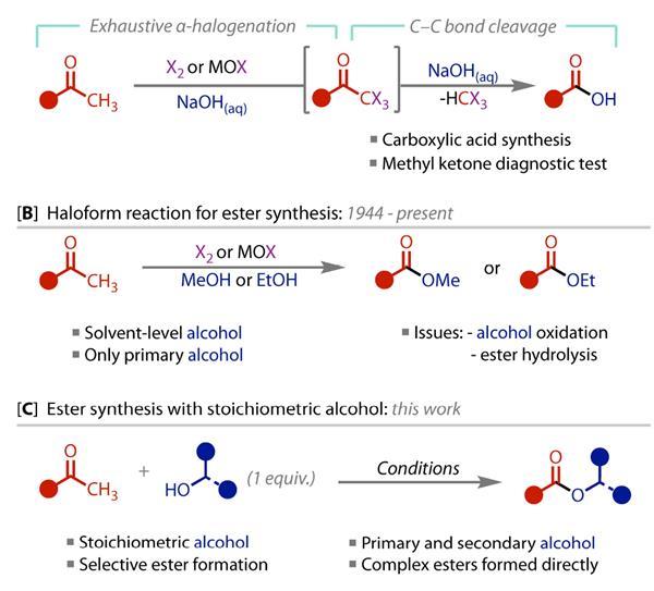 How A-level chemistry solved the 200-year-old problem with the haloform ...