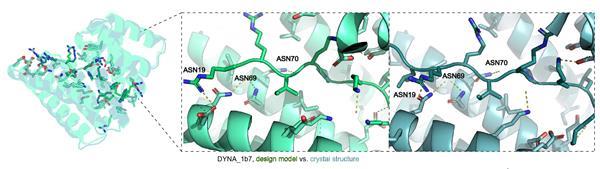 AI breakthrough enables protein design for previously 'undruggable ...