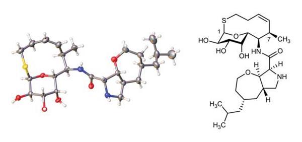 Pre-organising antibiotic structure could aid fight against resistance ...