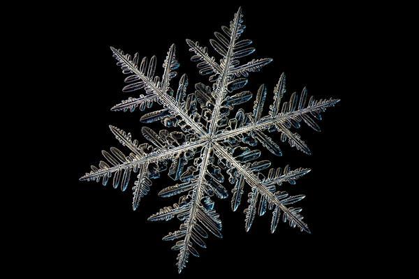 What makes a snowflake special? | News | Chemistry World