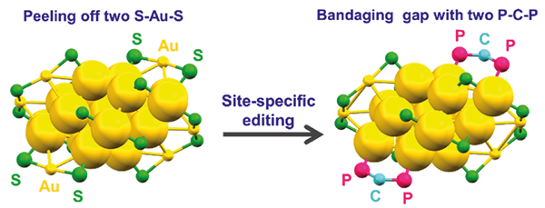 Surface sites on gold catalyst edited to control regioselectivity of a ...