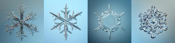 What makes a snowflake special? | News | Chemistry World