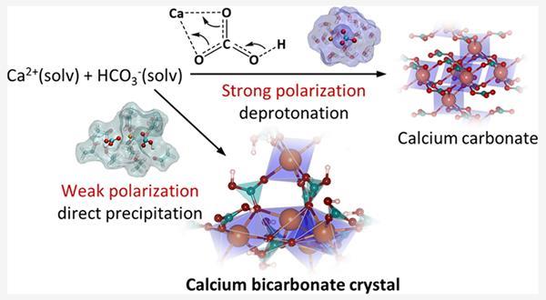 Calcium bicarbonate crystals synthesised for first time using ethanol ...