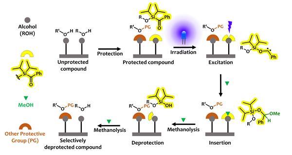 New silicon-based protecting group removable with blue light | Research ...