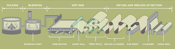 The complex chemistry of making paper | Feature | Chemistry World