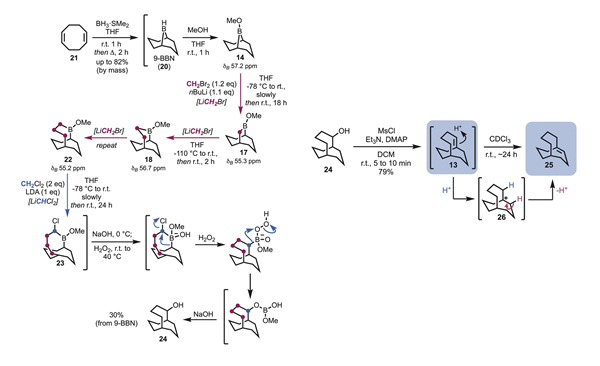 Synthetic strategies overcome Bredt’s rule, unlocking complex ...