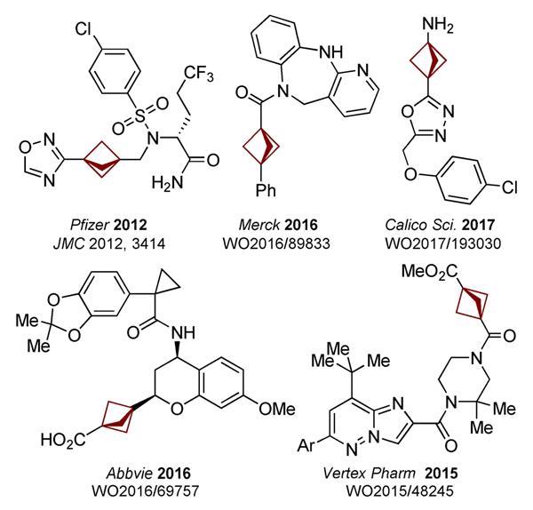 Cubanes help drugs take the strain | Feature | Chemistry World