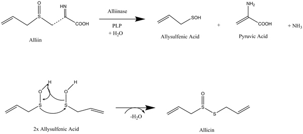Allicin | Podcast | Chemistry World