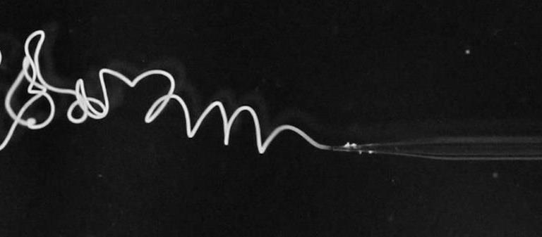 Strongest synthetic spider silk spun-out in the lab | Research ...