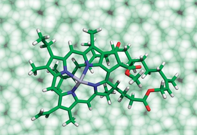 The green molecule | Feature | Chemistry World