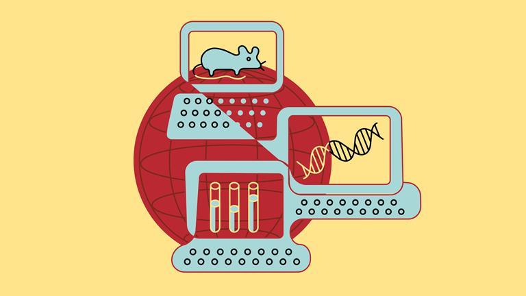 Research and regulations face-up to a new era of non-animal testing ...