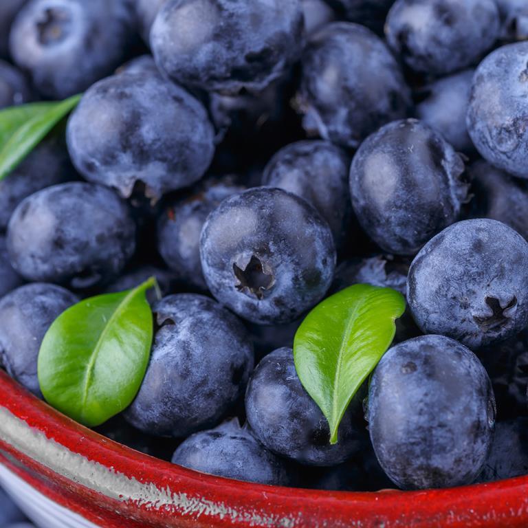 Blueberries’ blue is just skin deep, depending on structure not ...