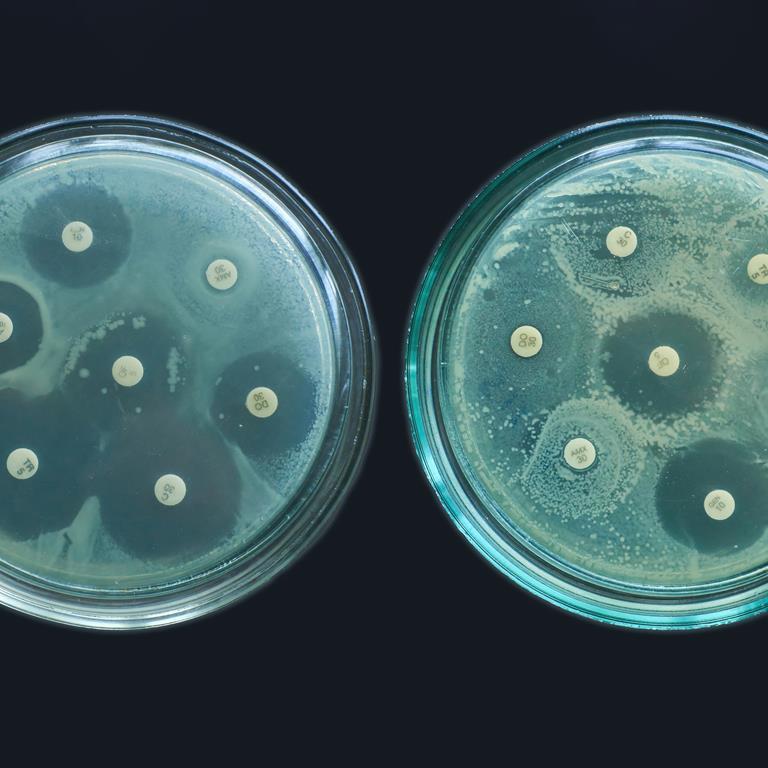Pre-organising antibiotic structure could aid fight against resistance ...