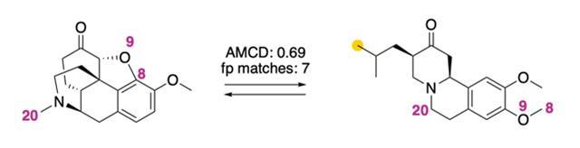 Transformation analysis reveals structural similarities in FDA-approved ...