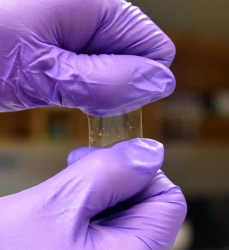Using ions to connect life to machines | Feature | Chemistry World