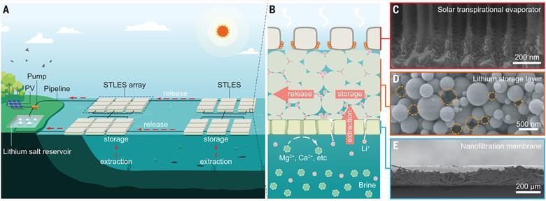 Sunlight-powered device harvests lithium from salty water | Research ...