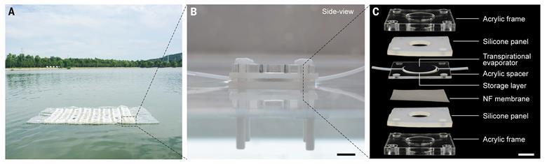 Sunlight-powered device harvests lithium from salty water | Research ...