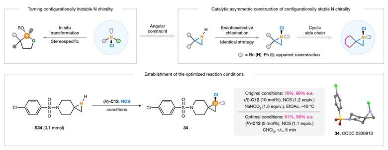 Stable chiral nitrogen centres created through asymmetric chlorination ...