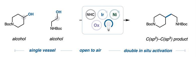 Cross-coupling technique cracks open alcohols for chemical synthesis ...