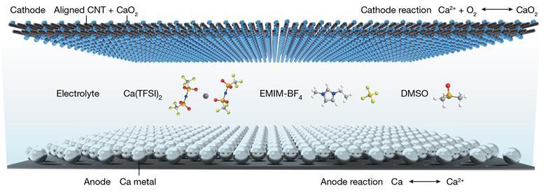 Clever cathode design opens doors to first rechargeable calcium battery ...