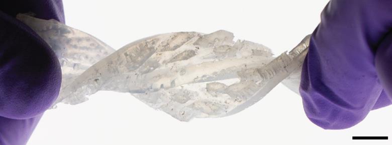 Bonding nanoparticles to rubber increases material’s fatigue resistance ...