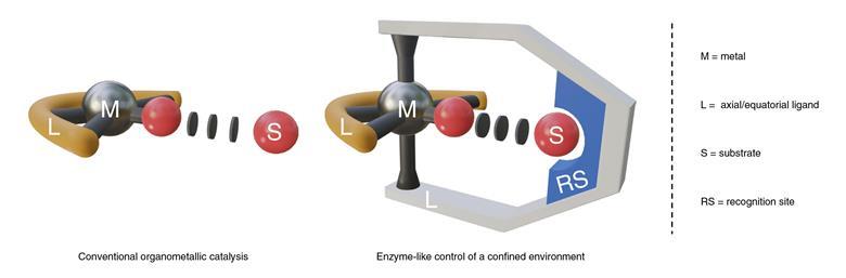 Designer catalyst with enzyme-like cavity splits water almost as fast ...