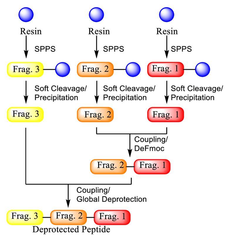 The GLP-1 weight loss revolution | Feature | Chemistry World