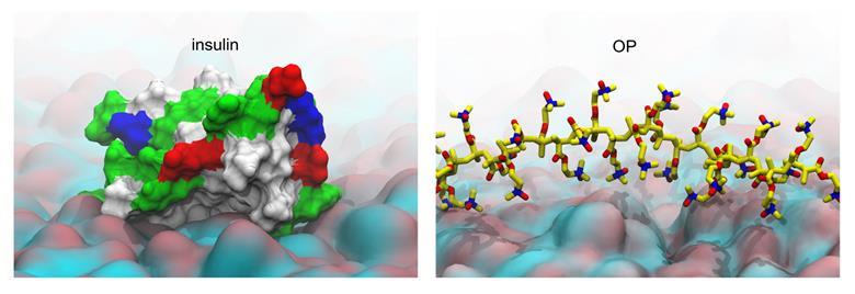 Polymer breakthrough enables needle-free insulin delivery through skin ...