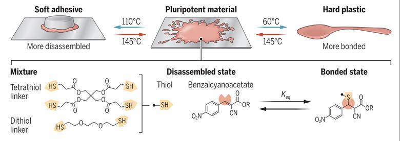Unique polymer can switch from rigid cutlery to an adhesive to ...