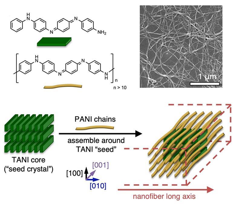 Pure conjugated polymer nanowires crystallised using oligomers | Research | Chemistry World