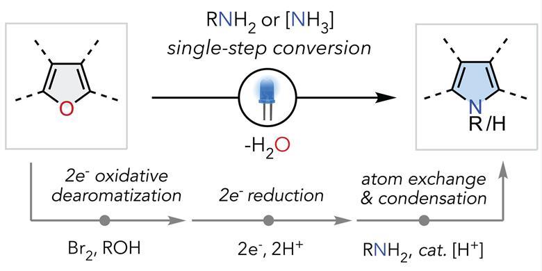Atom Swapping Reaction Turns Furans Into Pyrroles Research