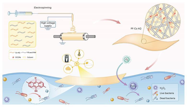 Floating films powered by light can purify water killing bacteria in ...
