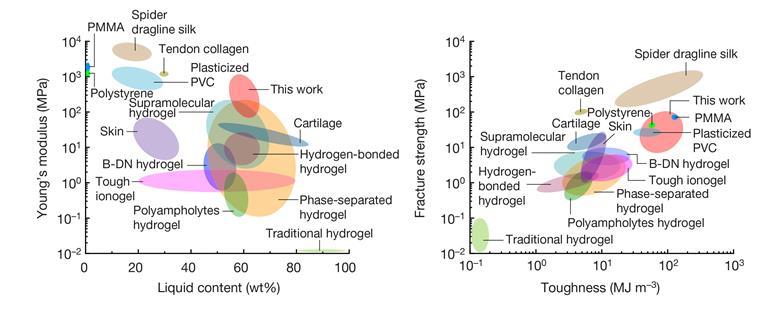 Glassy gel superpolymer is sticky and can self-heal but is also hard ...