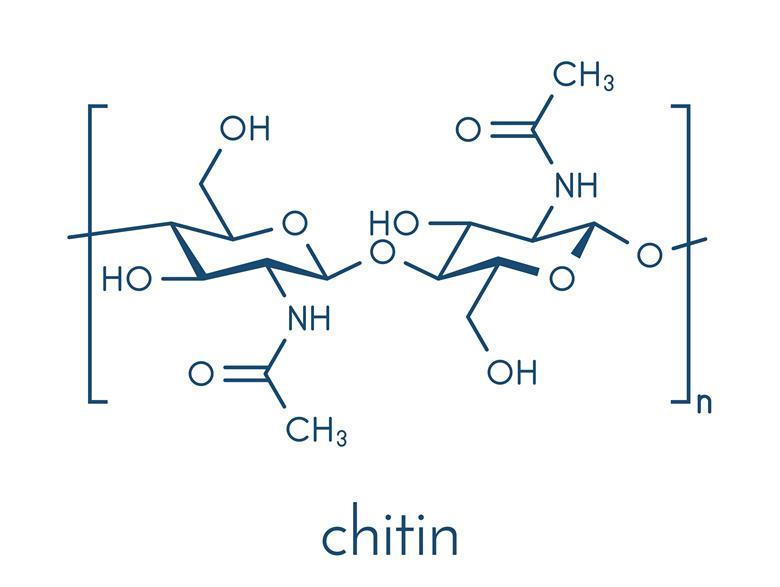 Chitin | Podcast | Chemistry World