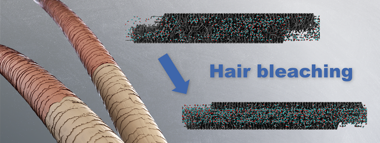 Study untangles friction and surface chemistry in chemically damaged ...