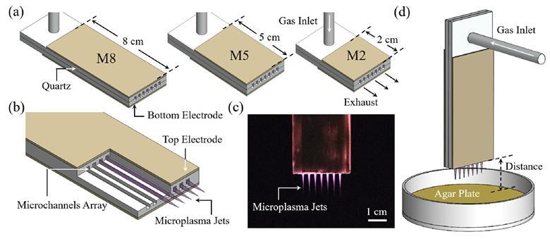 DNA-damaging device could make mutant discovery safer and simpler ...
